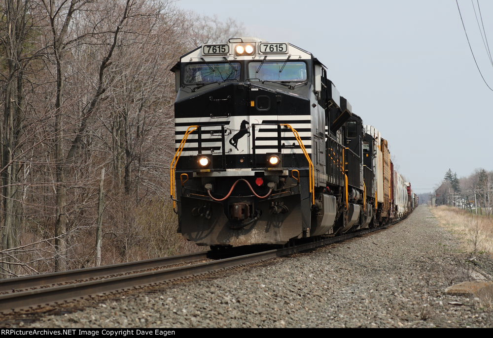 NS#7615